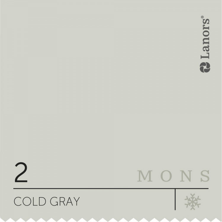 Краска Lanors Mons «Cold Gray» (Холодный серый), 2: купить в Москве по выгодной цене | «Lanors»